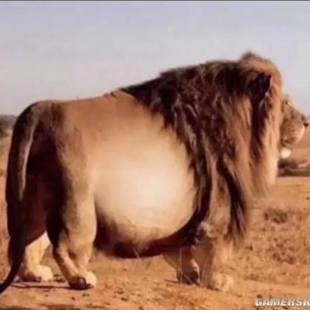 一抹扯淡的微笑 