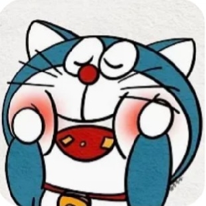 我梦哟wm 