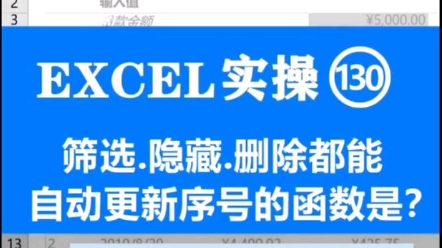 【EXCEL函数】Subtotal自动填序号天下无双