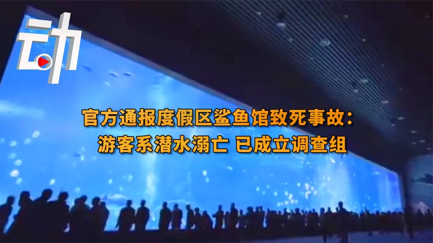 官方通报度假区鲨鱼馆致死事故:游客系潜水溺亡 已成立调查组