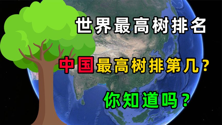 世界最高的树排名,你知道中国最高的树排第几吗?