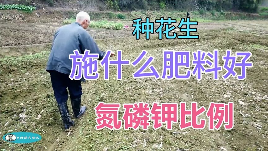 没有有机肥种花生施什么肥料好,阿唐用这样的氮磷钾比例肥料