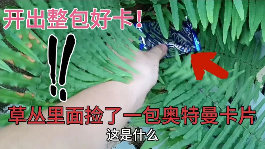 小伙在路边草丛里面捡了一包奥特曼卡片,开出了一整包好卡!