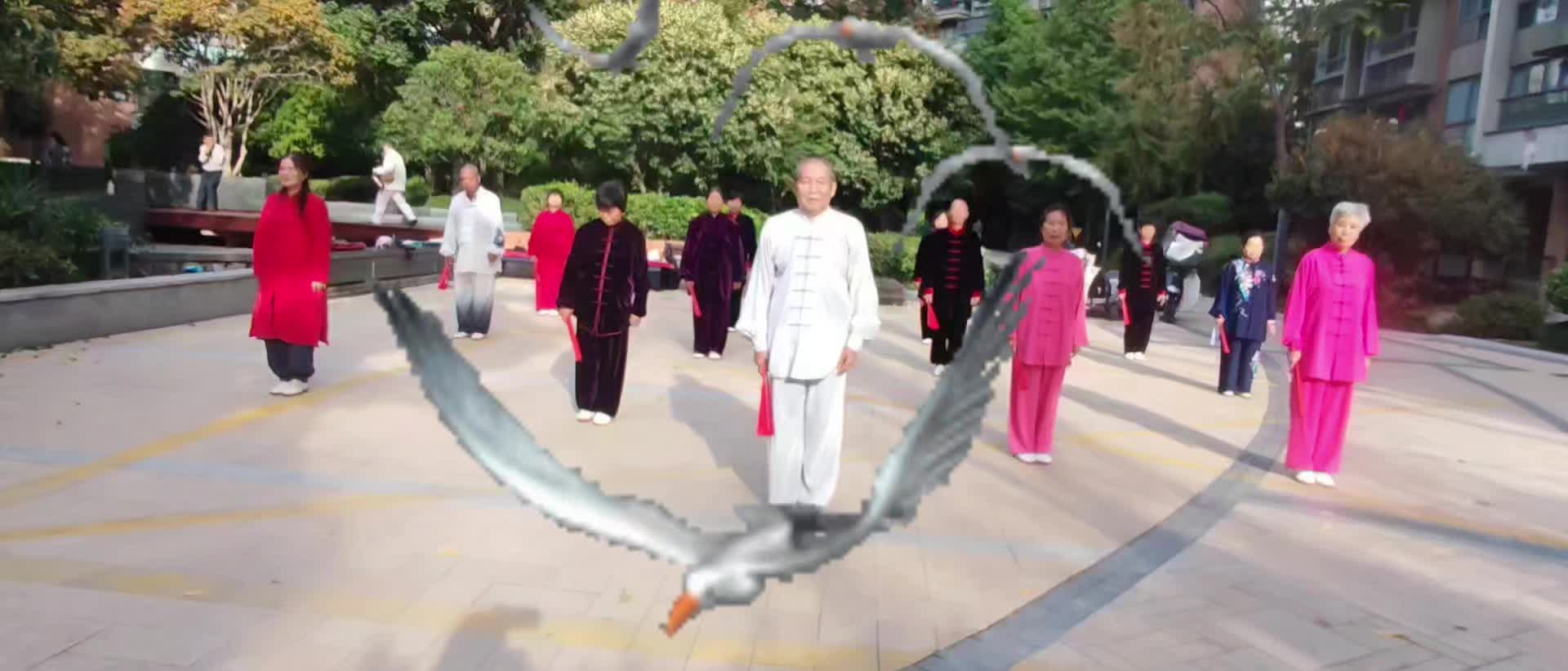 #生命在于运动一起锻炼吧 #老年生活欢乐多 #生命在于运动健康在于...