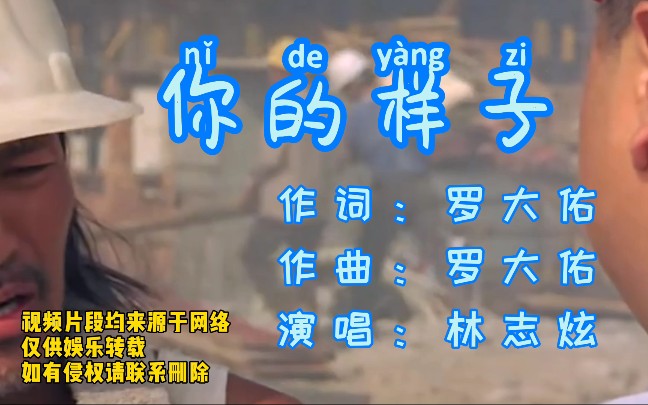 林志炫演唱的经典怀旧老歌《你的样子》