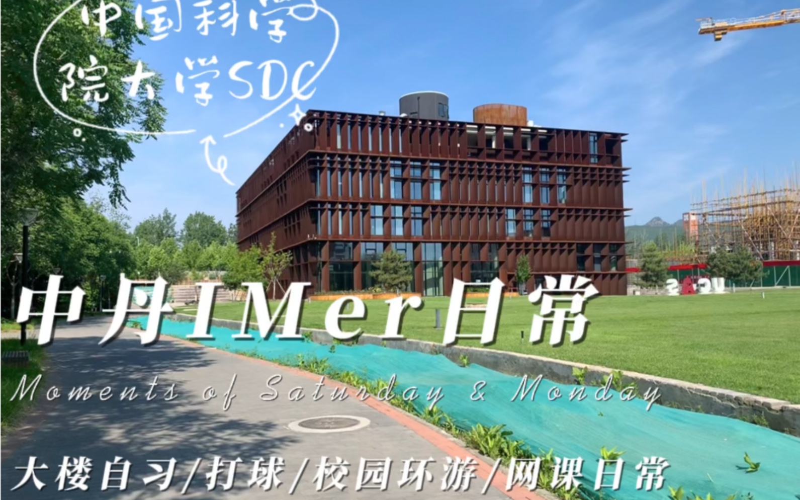 ...和丹麦教育|中国炼丹学院?|创新管理IMers|自习网课锻炼打球小圆环游