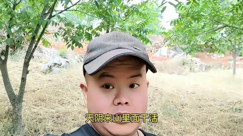 今天当了一天伐木工,3个多小时才砍了20多棵树