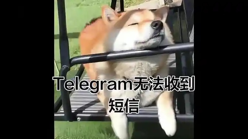 电报Telegram收不到验证码?解决技巧大揭秘