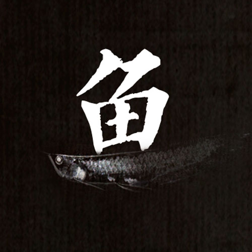 缚愿 
