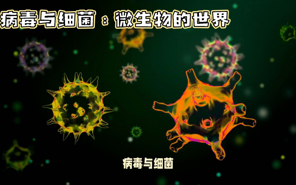 病毒与细菌:微生物的世界