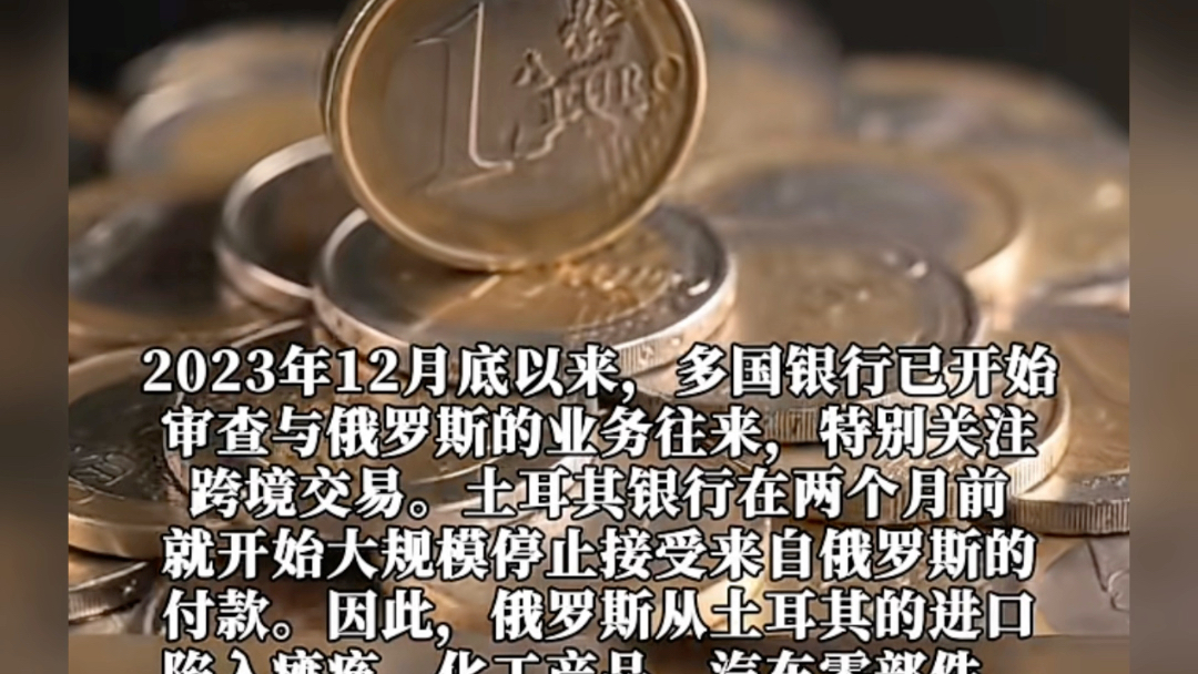 俄罗斯专线运输 空运 陆运 快递 全境可达 双清包税 代收货款 翻译 ...