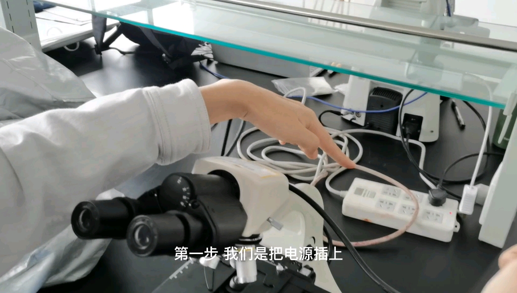 显微镜的使用