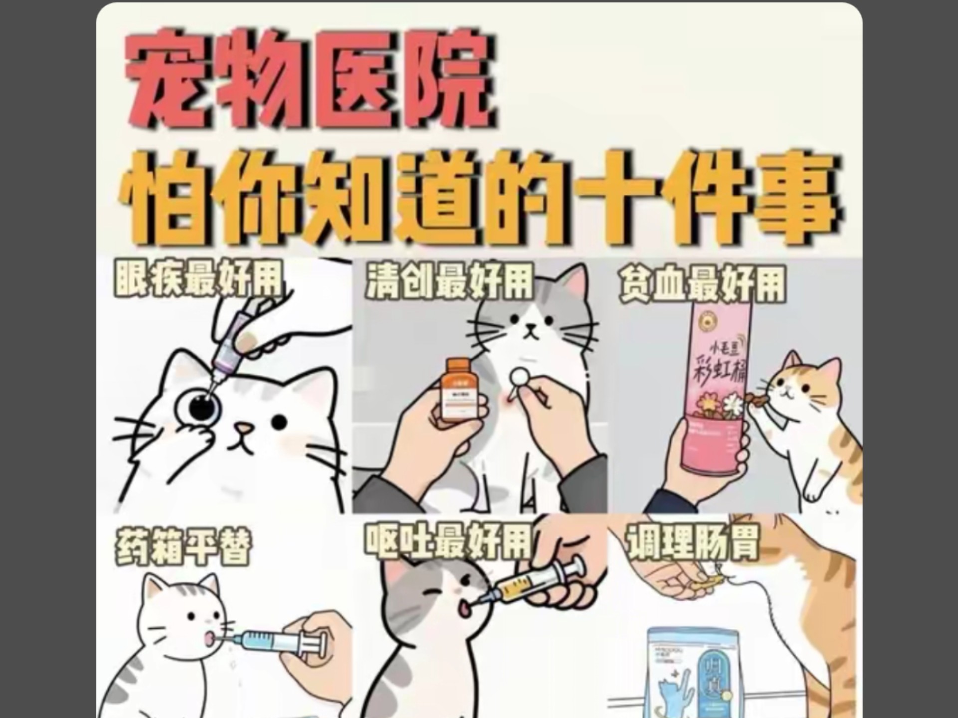 宠物医院怕你知道的十件事!