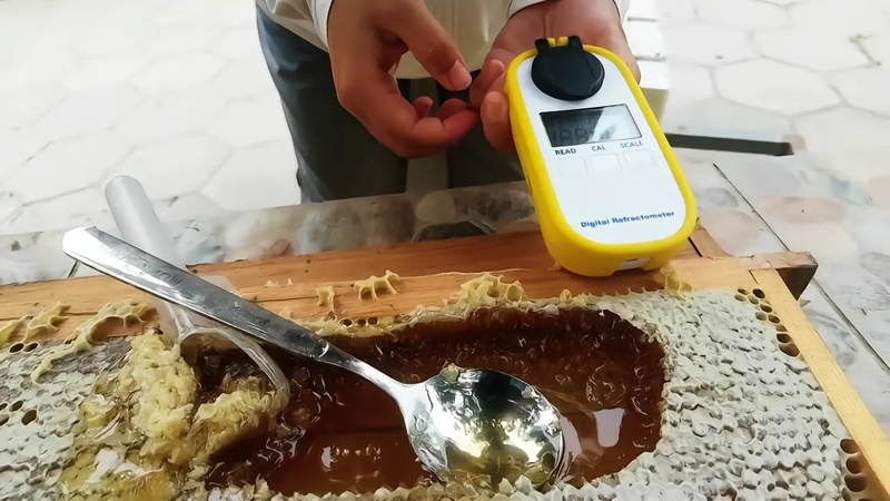 看看这蜂蜜的波美度,相信吗?