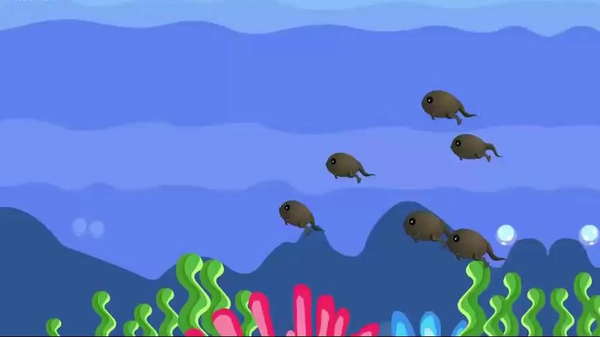 小蝌蚪找妈妈课文 部编版二年级语文上册教学视频 第2课