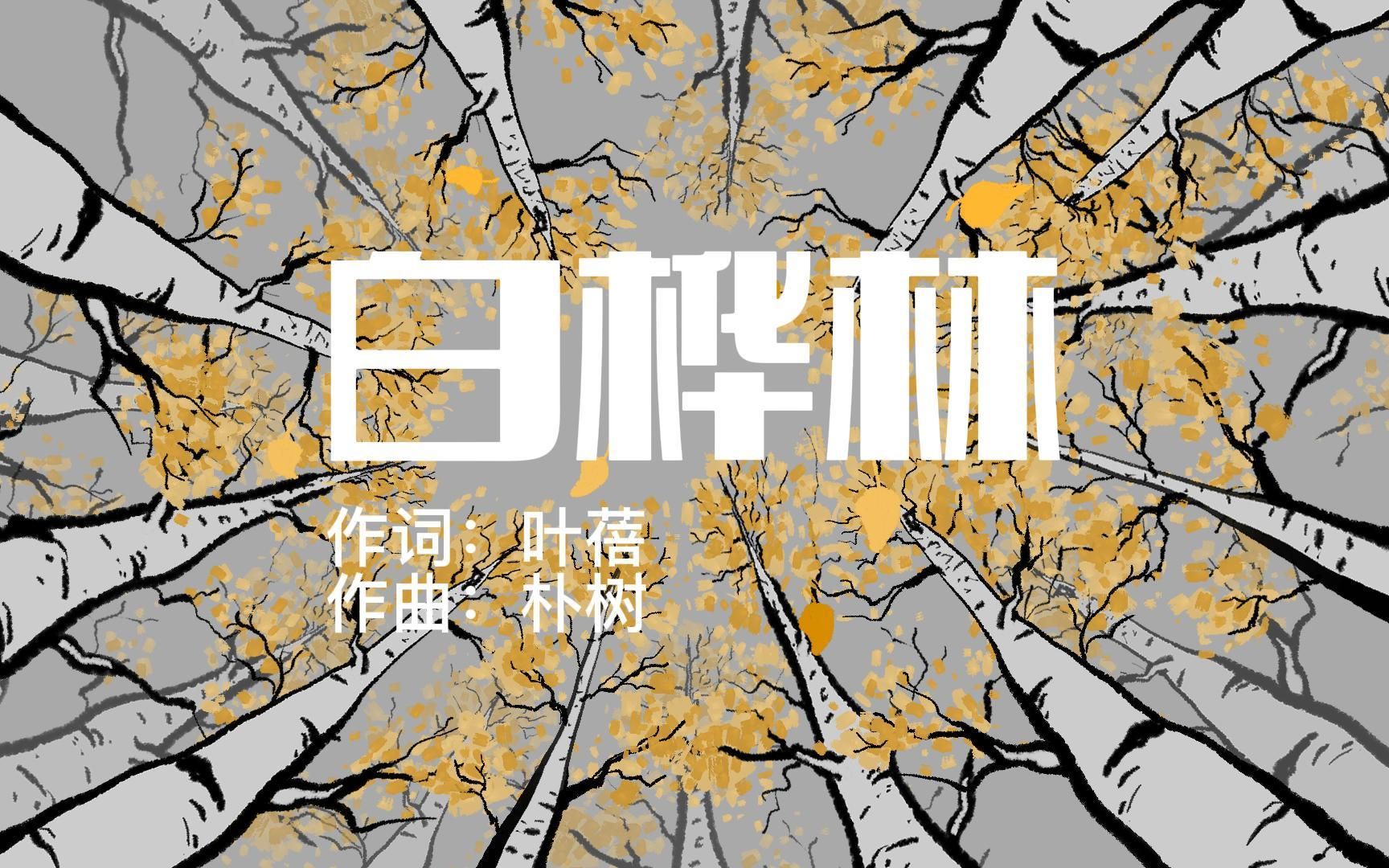 个人自制动画MV,朴树《白桦林》