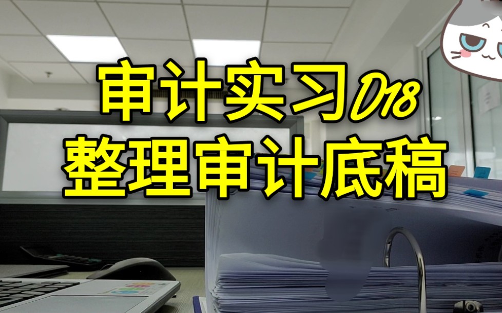 【审计实习D18】整理审计底稿