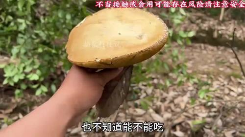 我拿着设计图来给老板挖排水沟,大伙儿瞧瞧我这设计靠谱不?