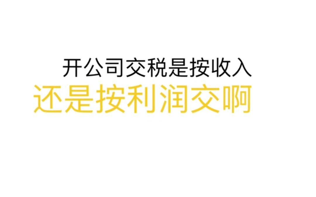 开公司交税是按收入还是按利润?
