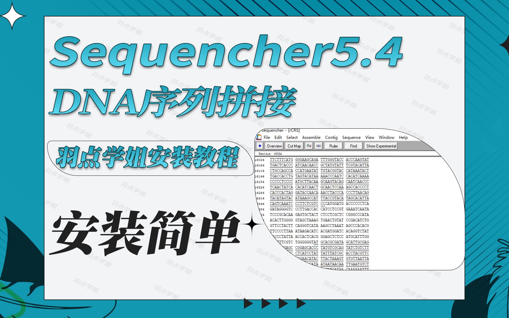 Sequencher5.4序列拼接DNA序列分析软件