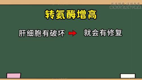 B超查出肝结节严重吗?
