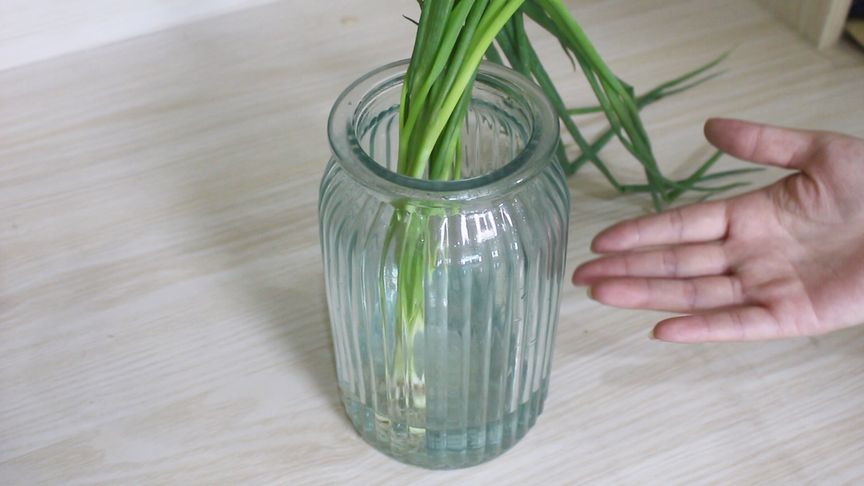 香葱别再放冰箱了,教你3个保存香葱的小妙招,放2个星期照样新鲜
