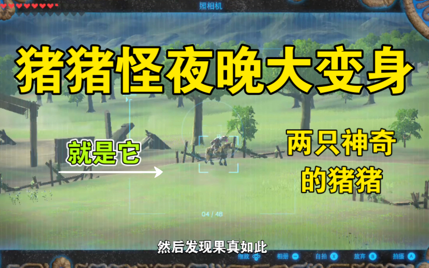 【塞尔达传说】平原牧场遗址的两只神奇猪猪怪,夜晚时候会变成骷髅...