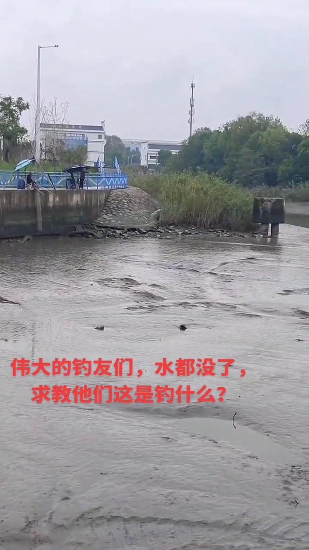 钓鱼佬就是如此的疯狂,池子里的水都干了,他们依旧支棱着鱼竿