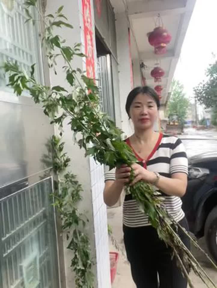 今天是我们的传统节日,祝大家端午安康,幸福吉祥 #端午安康