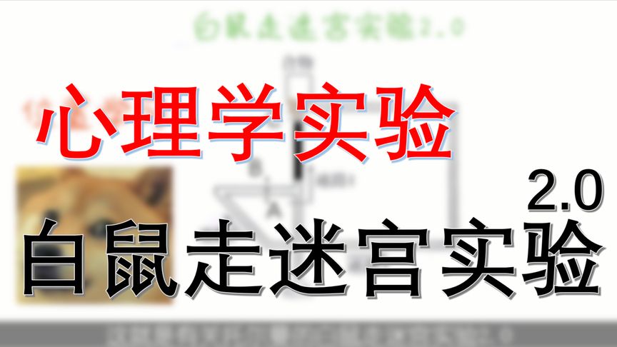趣味科普:心理学趣实验之白鼠走迷宫实验2.0