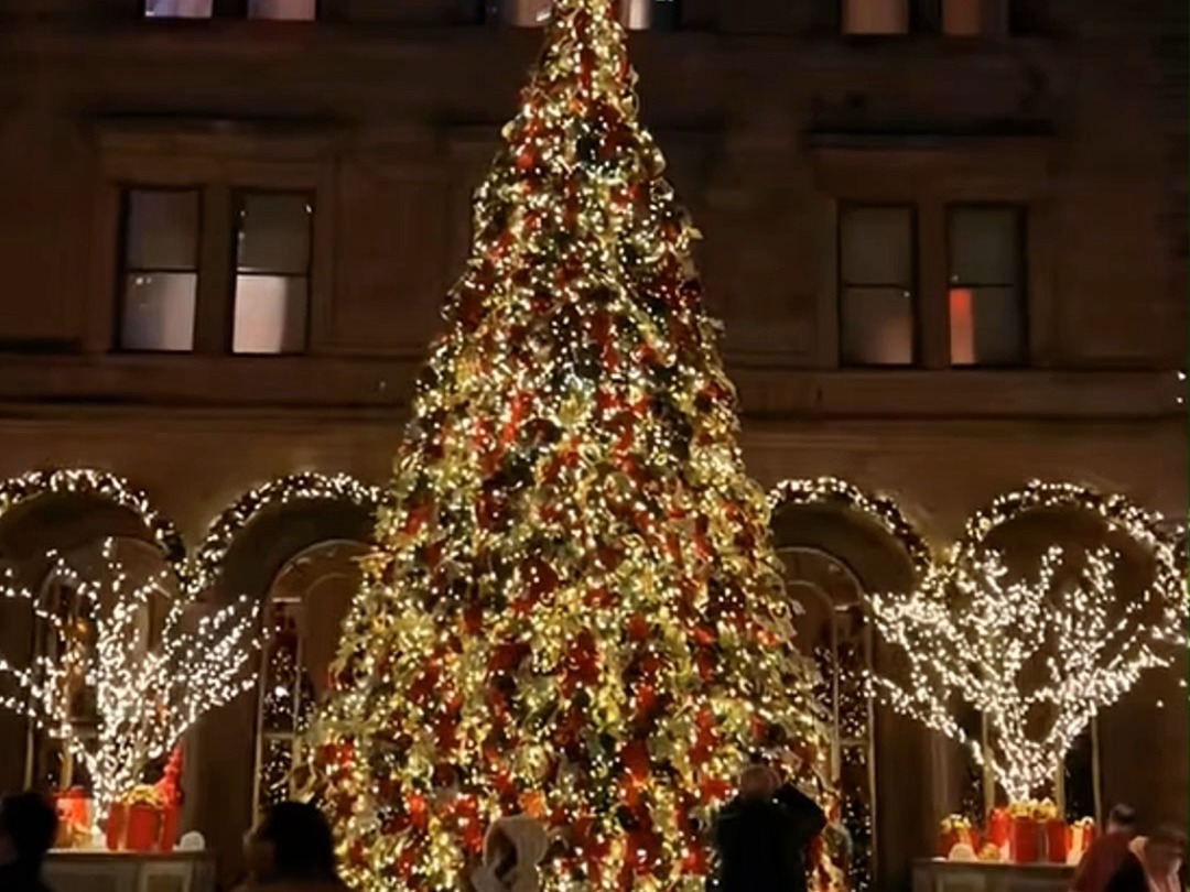 2024美国纽约: 耳畔回响着时代广场的倒计时,新年的钟声与圣诞颂歌...