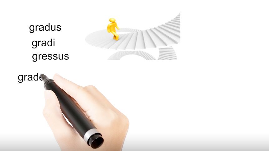 学英语词源知识之gradus脚步台阶层级英语单词记忆英语学习方法