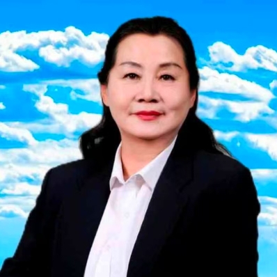 史阿婆画数学