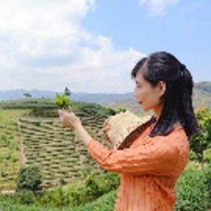 瑶山姐三农 