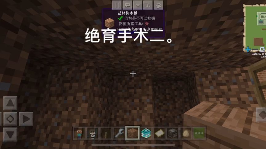 我的世界绝育手术二。细节没有第一部好,因为第一部比较闲。