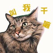 叫我小柒吖 