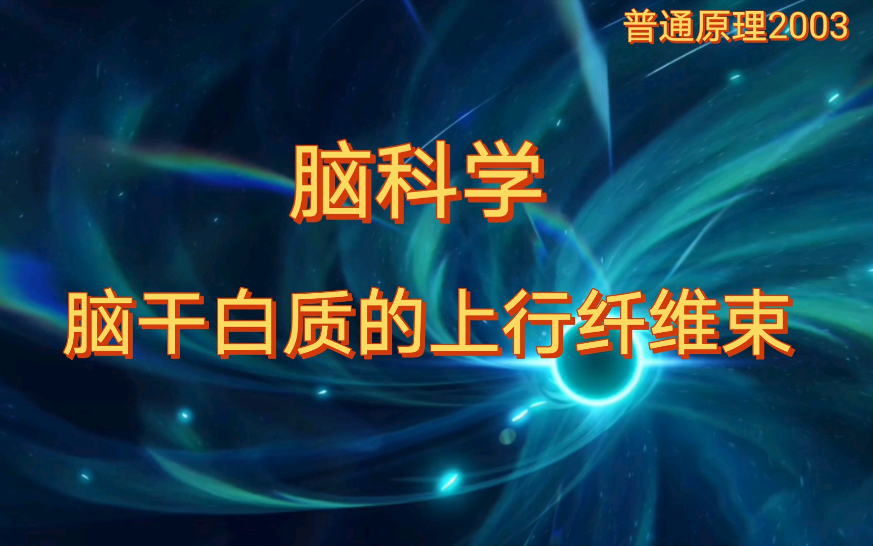 脑科学:脑干白质的上行纤维束