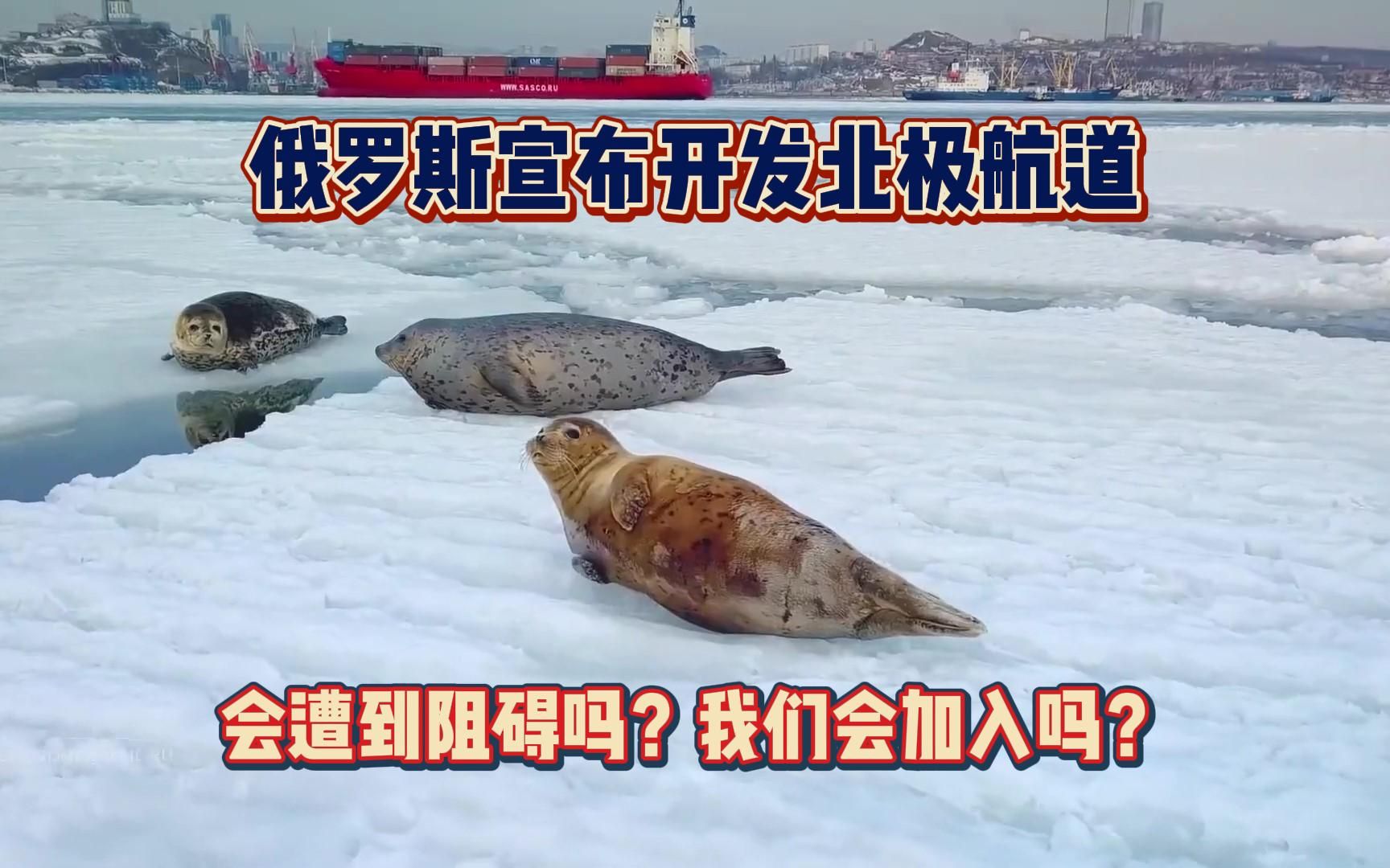 俄罗斯宣布开发北极航道,并邀请中国伙伴加入项目(第六十四期)