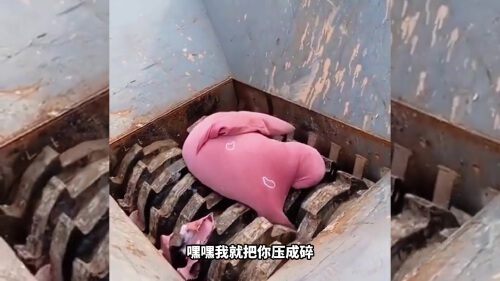 解压粉碎机,结局你想都不敢想