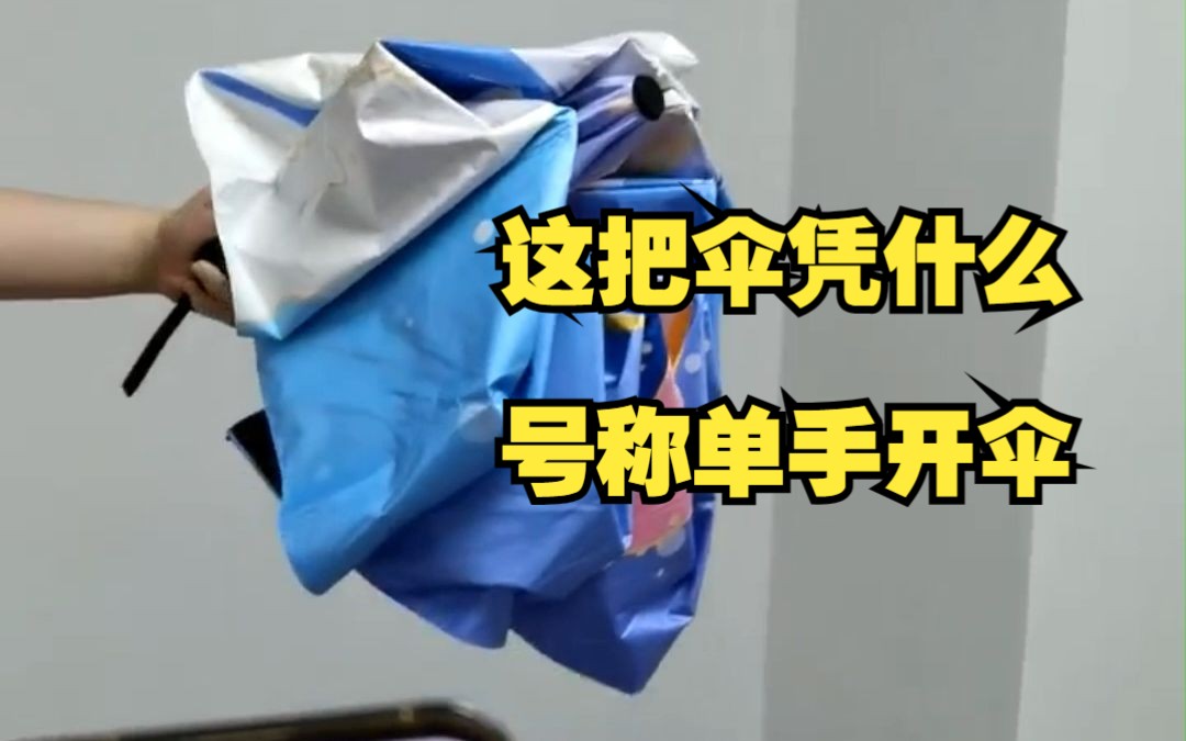 [专业测评]罗棠布妮电动伞好用在哪里