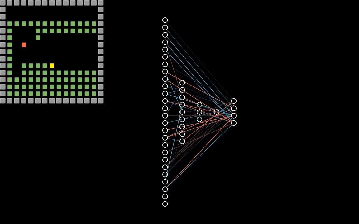 用可视化NEAT算法观察训练贪吃蛇的进化过程