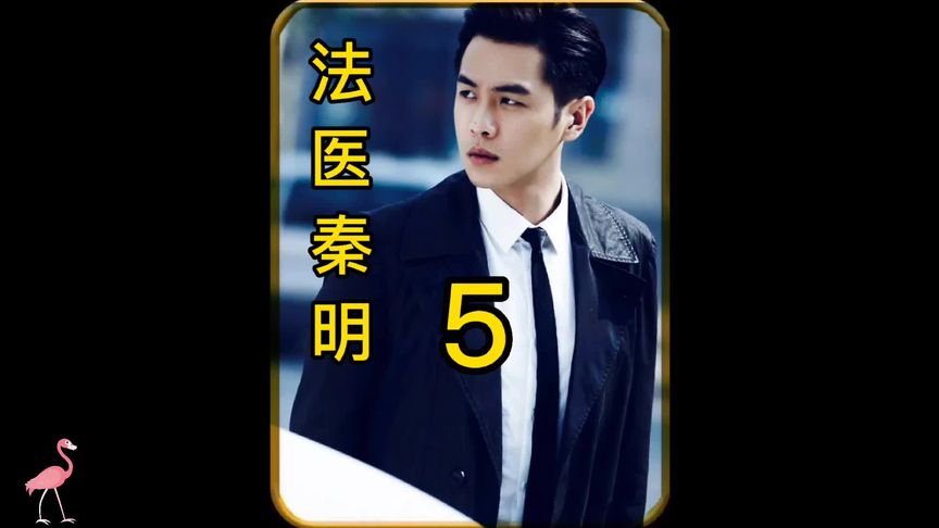 #法医秦明第一季解说 持续更新