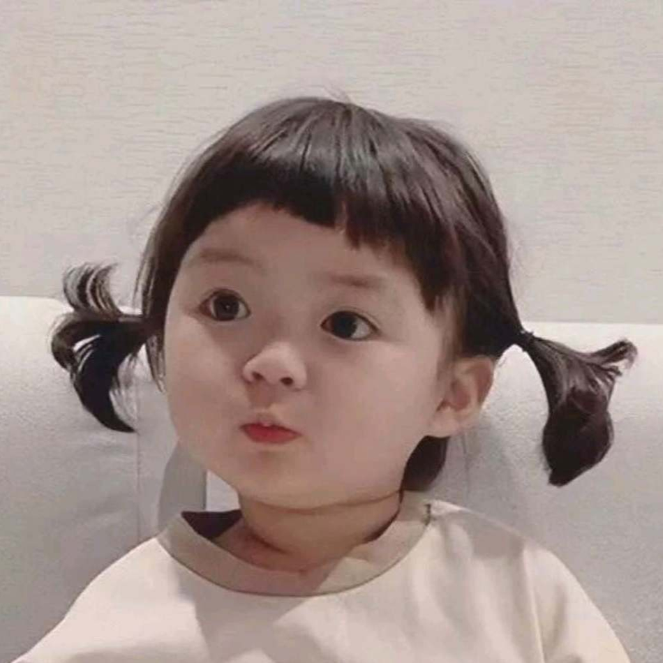 记忆委员 