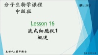 分子生物学中级班-16.流式细胞仪一概述