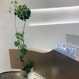 小璟老师 