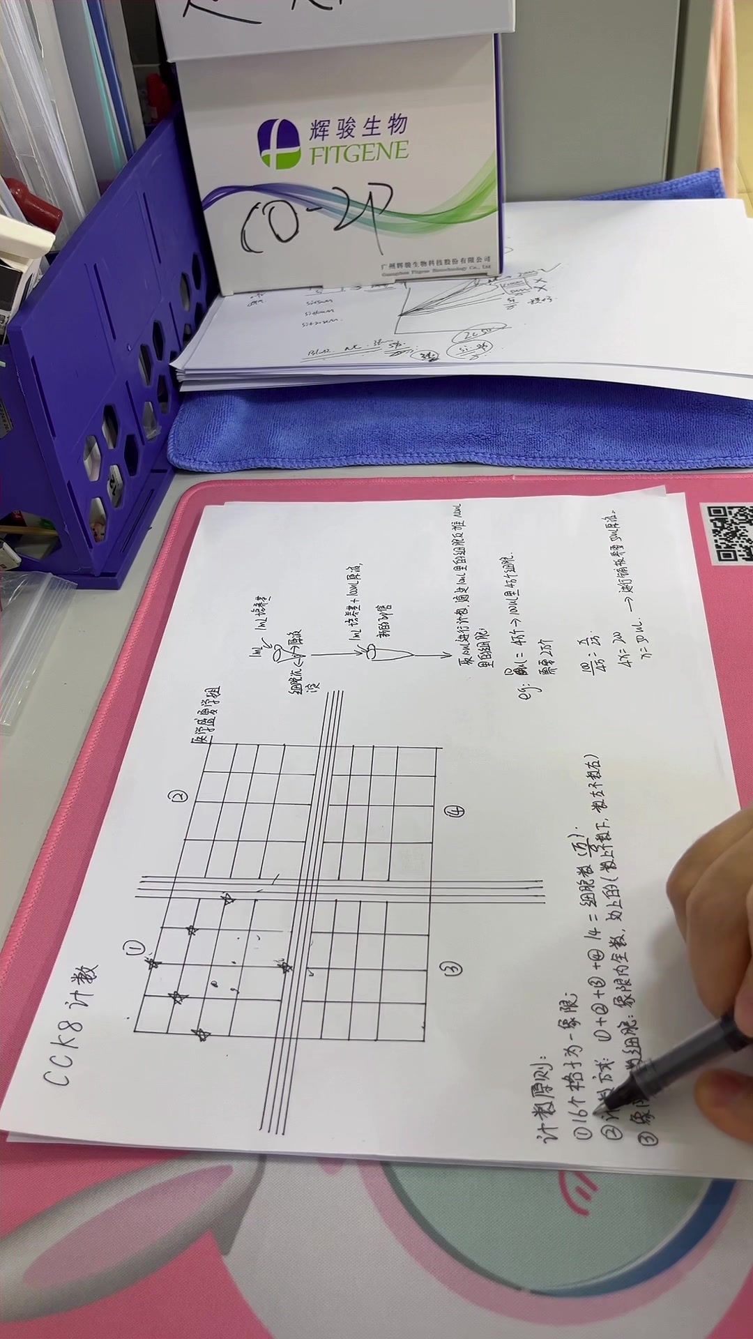 超详细cck8计数讲解