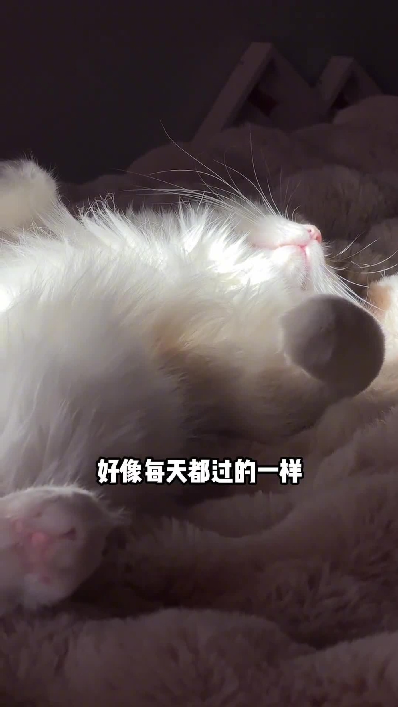 进入倒计时啦打开一整年的相册来一场年终总结