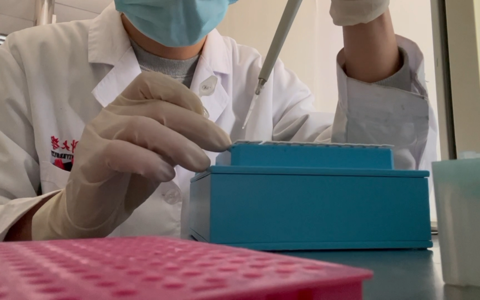 周末之 沉浸式Qpcr定量实验