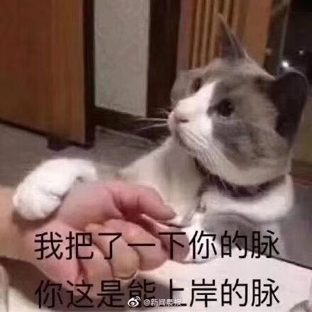 甲以时日 