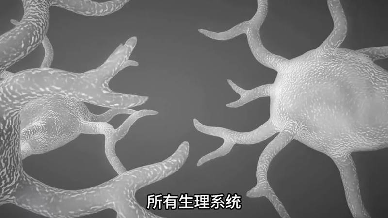 女性满意的同房时间到底是多久,要看这个神奇的指挥中心怎么做